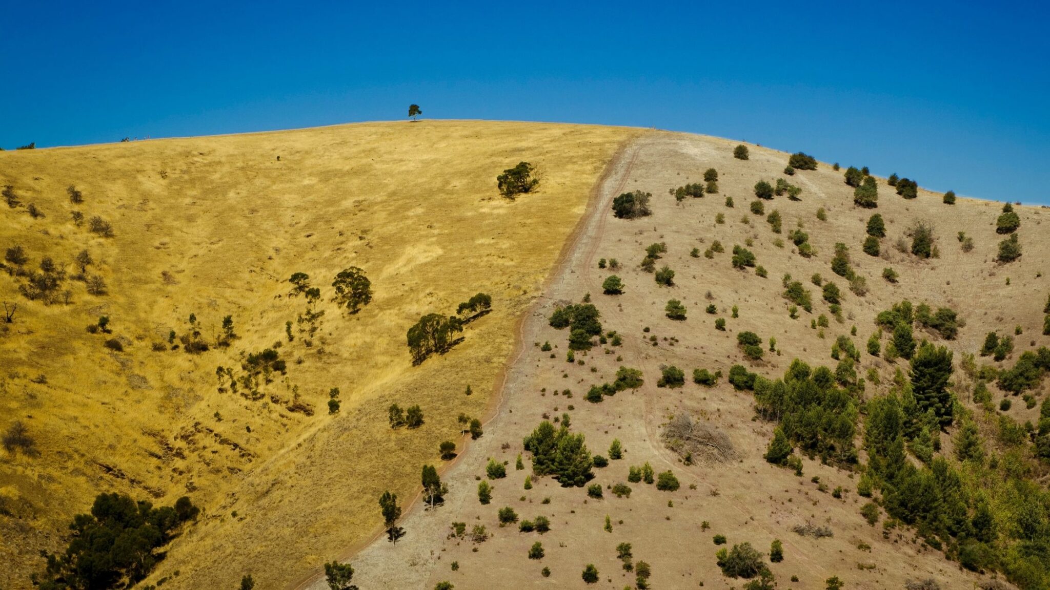 What are Division Orders and How Do Decimal Interest Work? - Pheasant ...