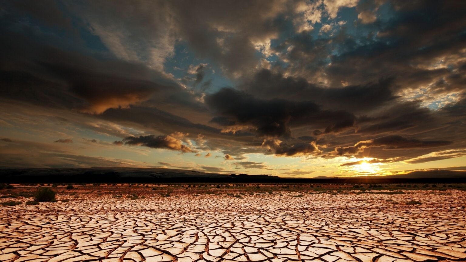 What are Split Estates and Severed Mineral Rights - Pheasant Energy