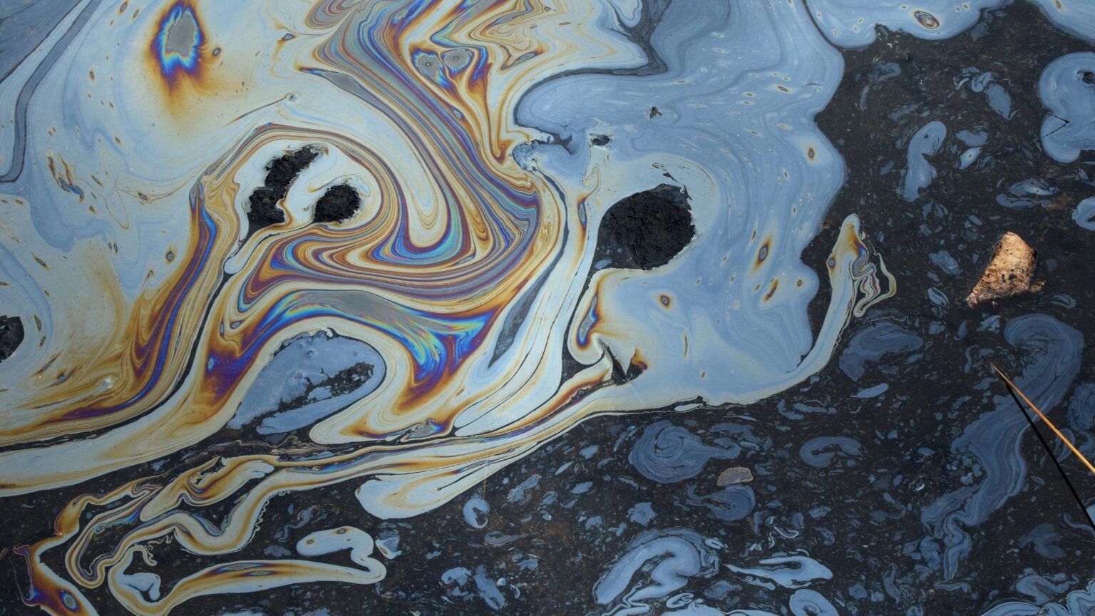 How To Find if You Have Oil on Your Land? - Pheasant Energy