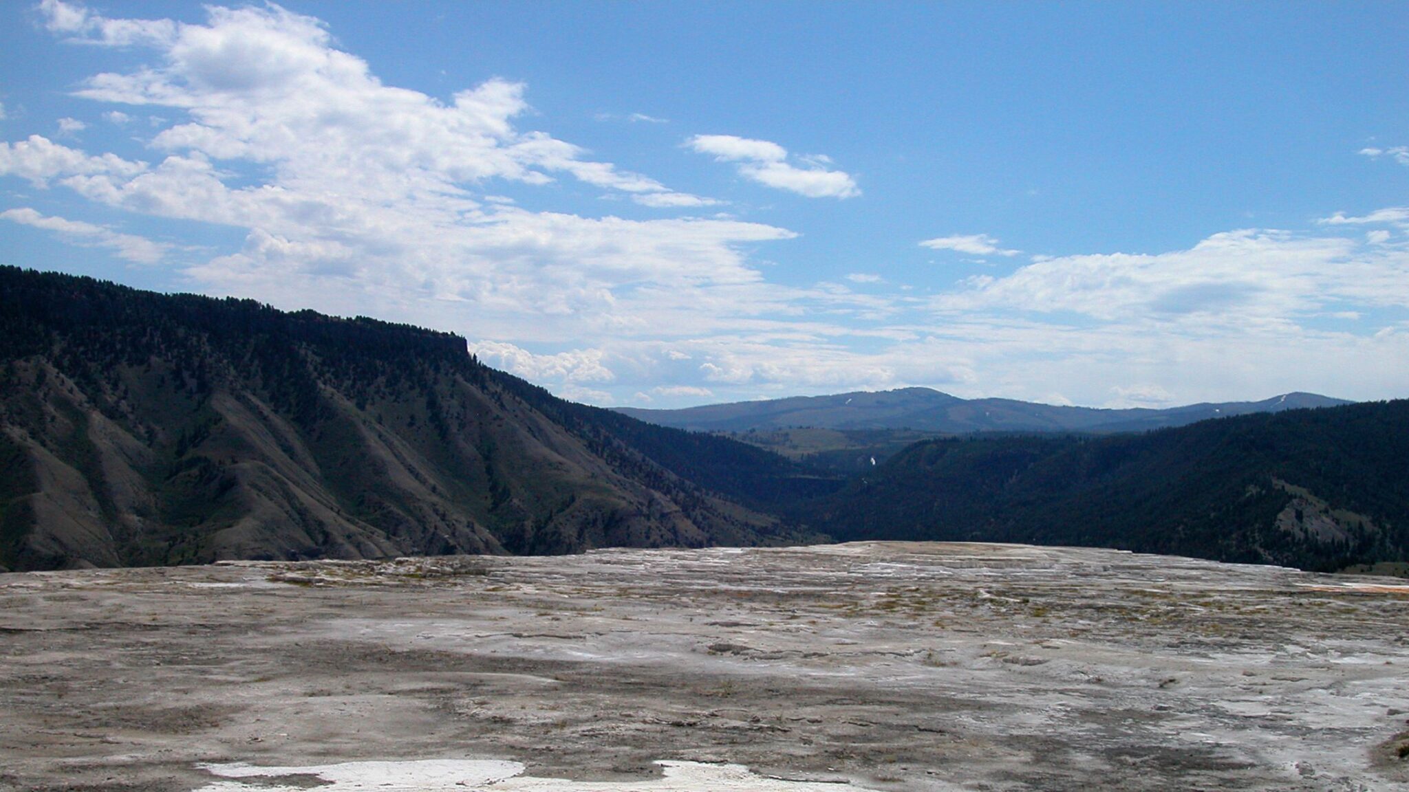 Habendum Clause in Oil And Gas: Definition, Purpose and Restrictions ...