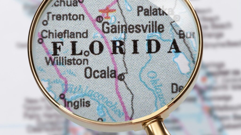 Navigating the Depths of Wealth: Understanding Florida's Mineral Rights ...