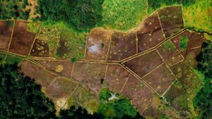 Alabama Mineral Rights: Ownership, Fields, Law and Value - Pheasant Energy